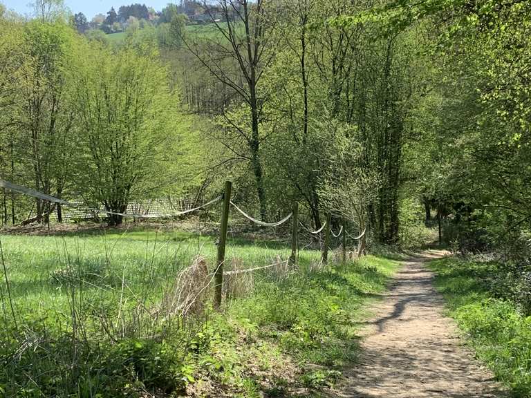 Schöner Weg am Bach entlang: Wanderungen und Rundwege | komoot