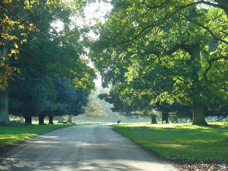 Holkham Park - Cycle Routes and Map | Komoot