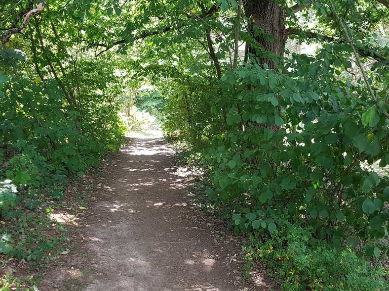 Singletrail deer enclosure Mountain Bike Trails & Tracks | Komoot