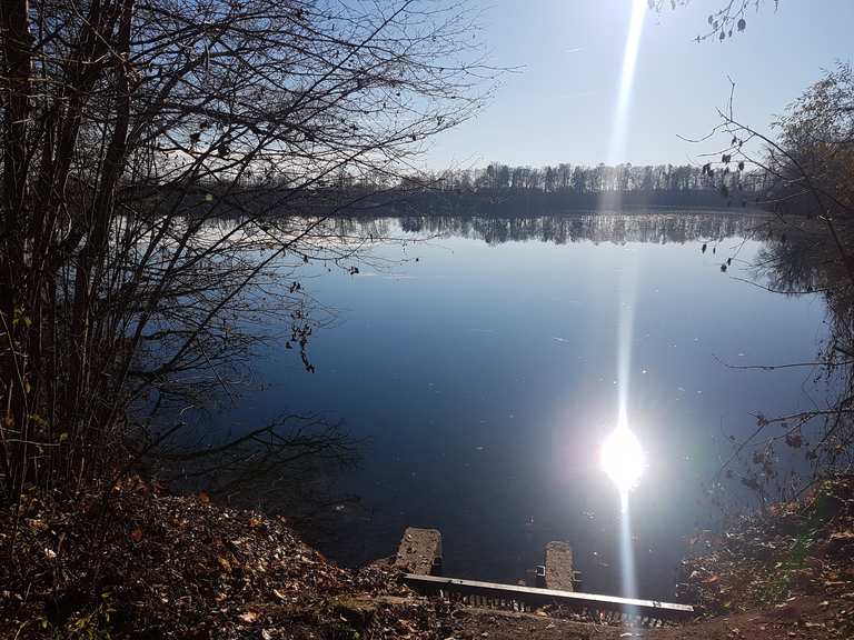 Am Thenner See : Radtouren und Radwege | komoot