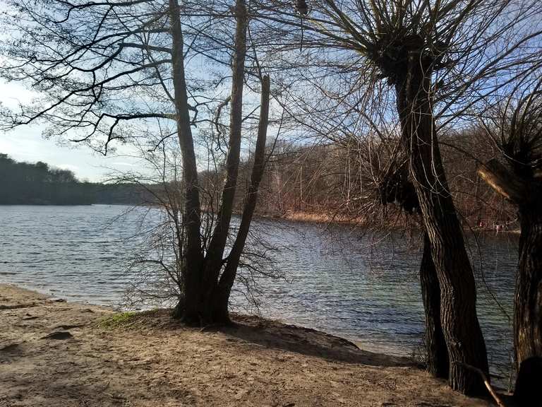 Krumme Lanke: Wanderungen und Rundwege | komoot