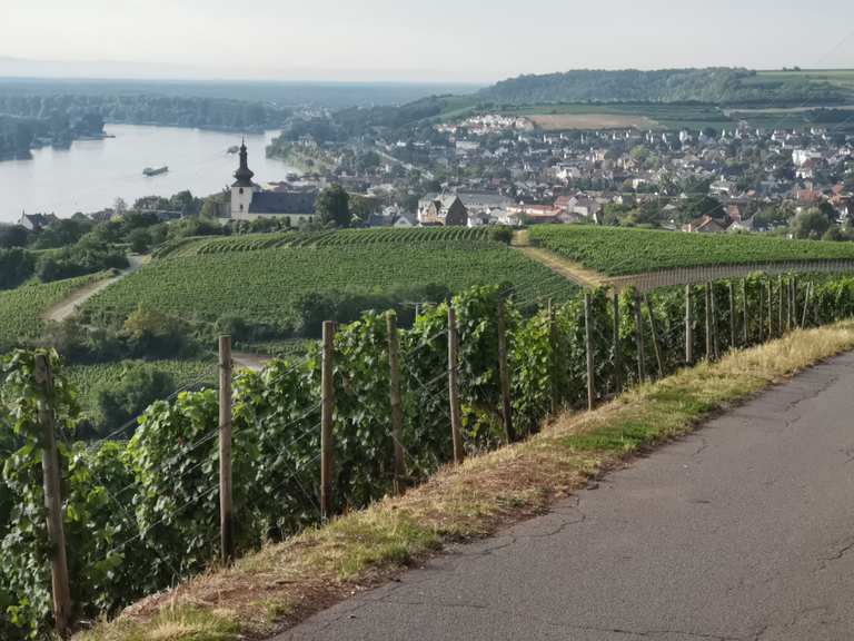 Roter Hang : Radtouren und Radwege | komoot