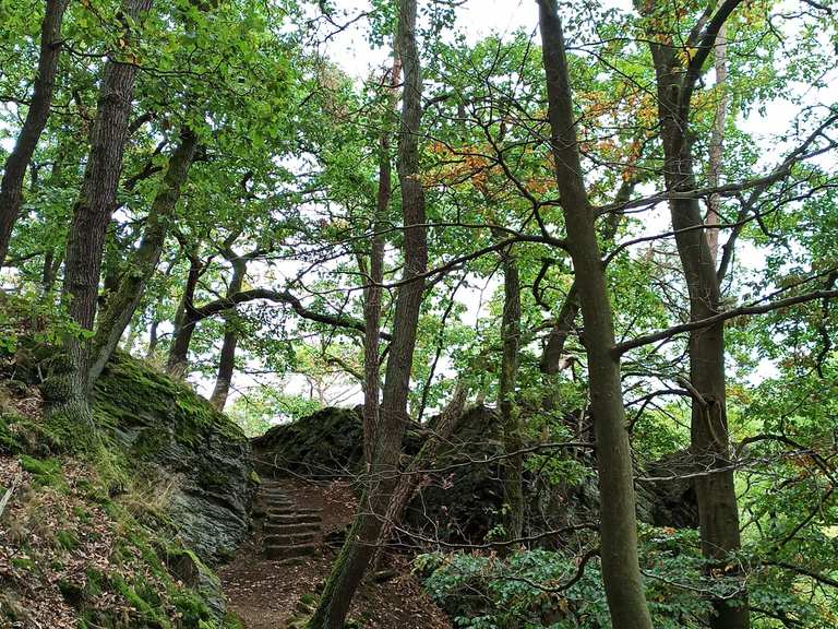 Hasenberg Felsformation - Itinéraires de rando et marche | Komoot