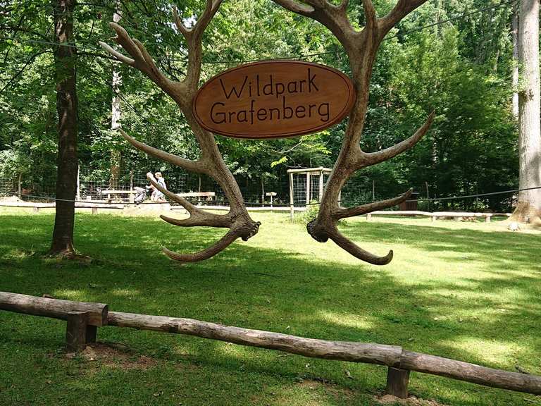 Wildpark im Grafenberger Wald: Wanderungen und Rundwege | komoot