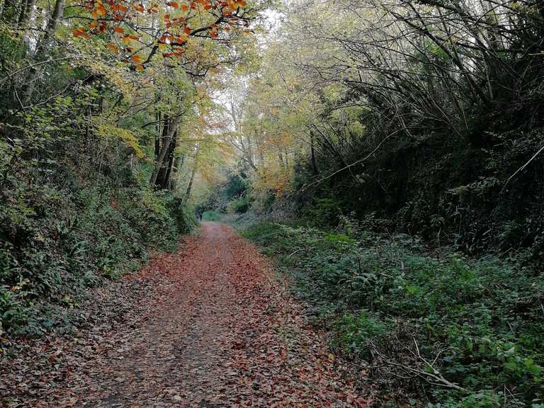 Colliers Way Cycle Routes and Map | Komoot