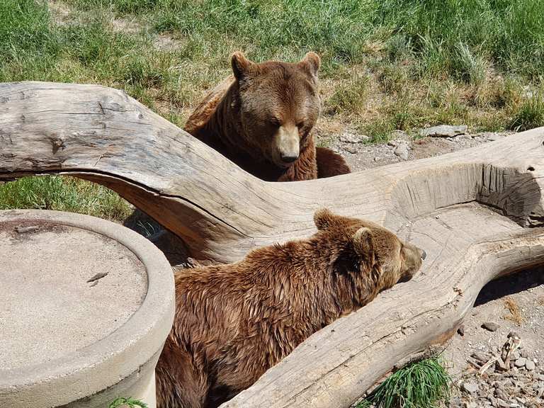Wild- und Freizeitpark Gackenbach: Wanderungen und Rundwege | komoot