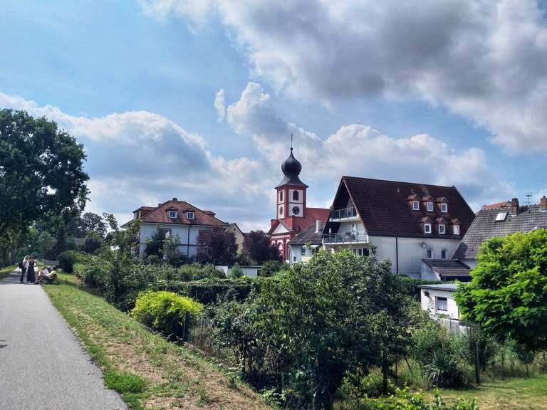 Schloss und Schlosspark Neckarhausen : Radtouren und Radwege | komoot