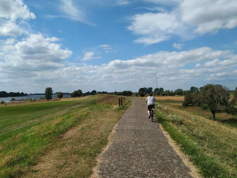 Rheindeich zwischen Bislich und Rees: Radtouren und Radwege | komoot