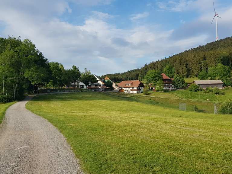 Aussichtspunkt Nilleck – Aussichtsturm Brandenkopf Runde von Birach ...