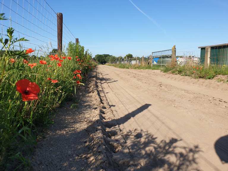 Chicken Run | Gravel-Tour | Komoot