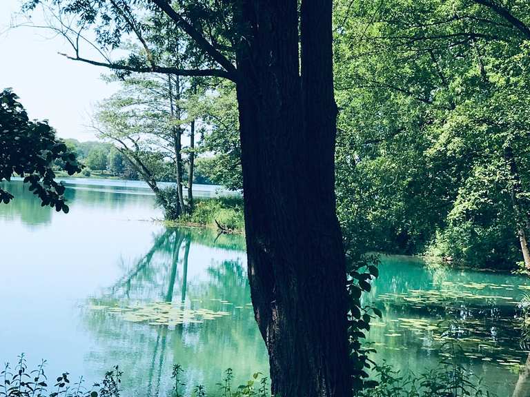 Nordufer des Roithersees : Radtouren und Radwege | komoot