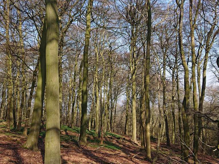 Aston Rowant Nature Reserve: Wanderungen und Rundwege | komoot