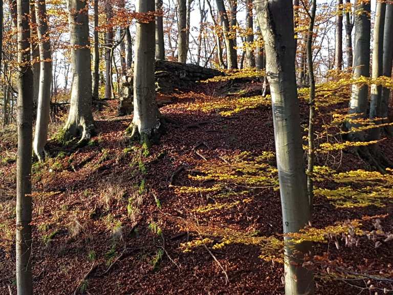 Burgruine Schauerberg: Mountainbike-Touren und -Trails | komoot
