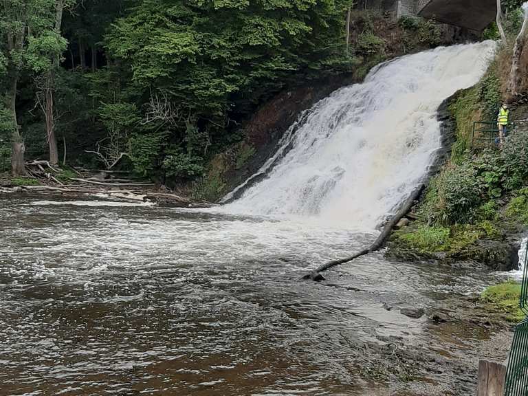 Cascade de Coo: Wanderungen und Rundwege | komoot