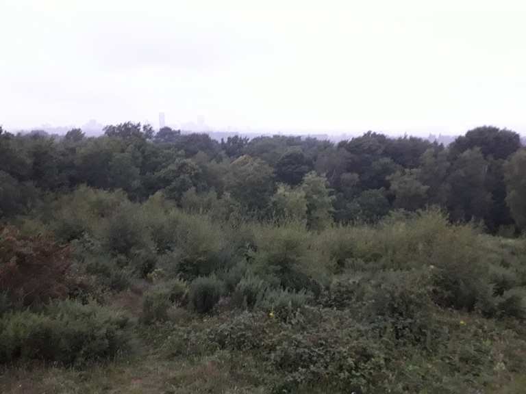 Addington Hills Lookout - Greater London, England | Cycling Tips ...