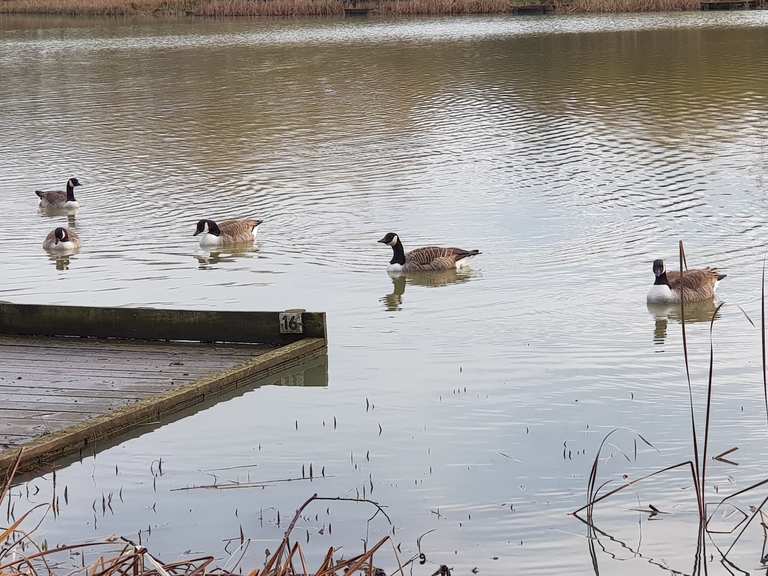 Five Pits Trail Lake View - Routes for Walking and Hiking | Komoot