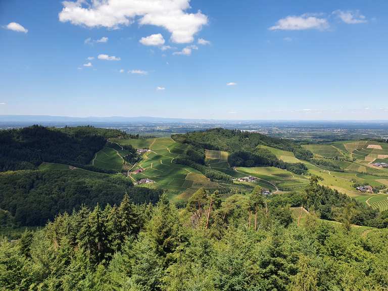 Oberkircher Brennersteig – Wanderung im Schwarzwald | Wanderung | Komoot