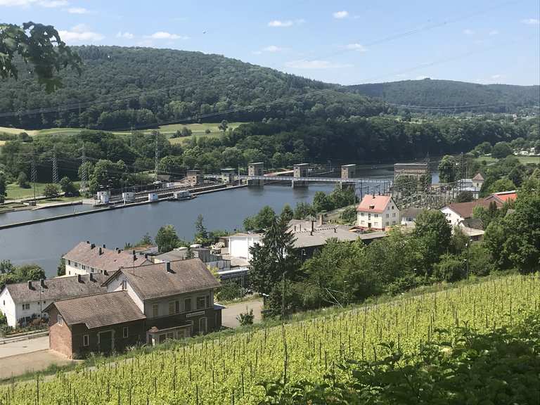Tolle Aussicht Neckarzimmern : Radtouren und Radwege | komoot