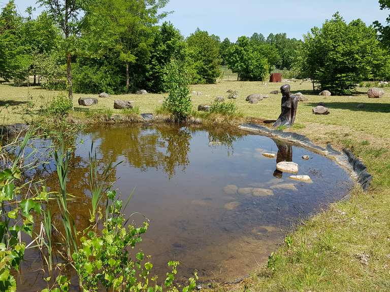 Seddiner See Findlingsgarten: Wanderungen und Rundwege | komoot