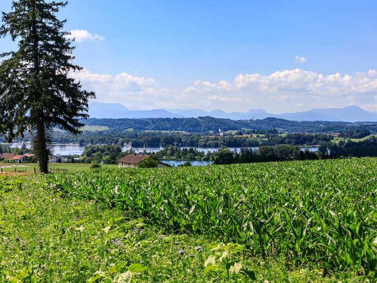 Aussichtspunkt Tachinger See - Cycle Routes and Map | Komoot