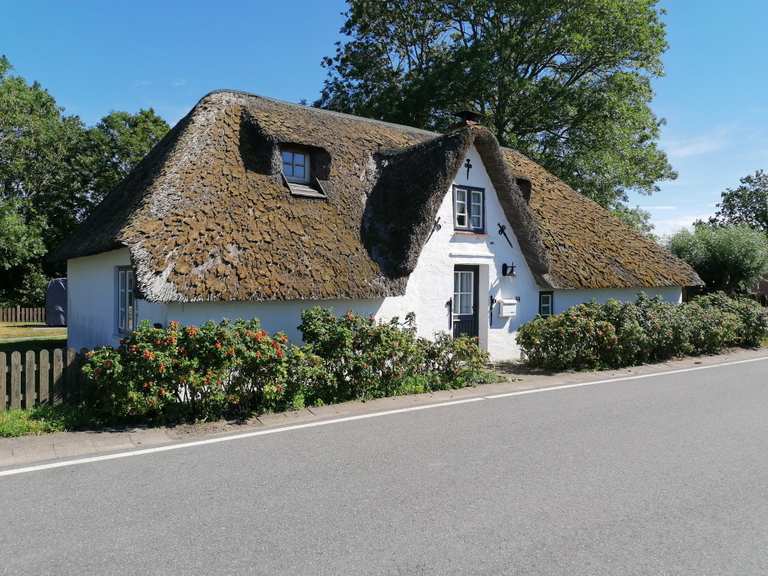 Wasserkoog - Juwel auf Eiderstedt _: Radtouren und Radwege | komoot