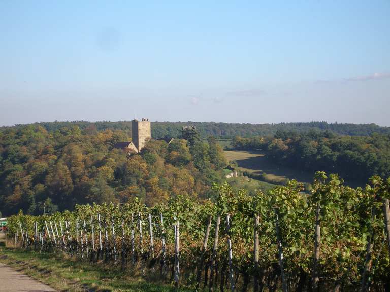 Schloss Neipperg - Mountain Bike Trails & Tracks | Komoot