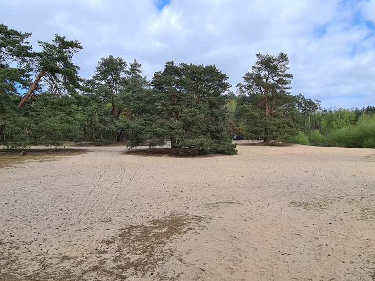 Lutterzand wandelroutes en hikes | Komoot