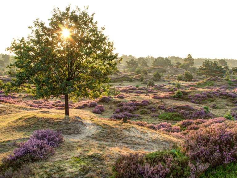 De wandel bucketlist – Door alle Nederlandse Nationale Parken | Wandel ...