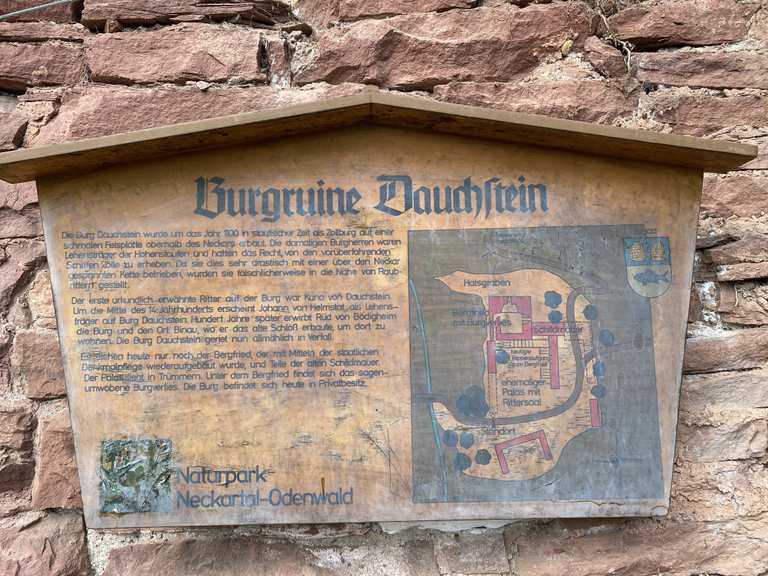 Burgruine Dauchstein: Wanderungen und Rundwege | komoot
