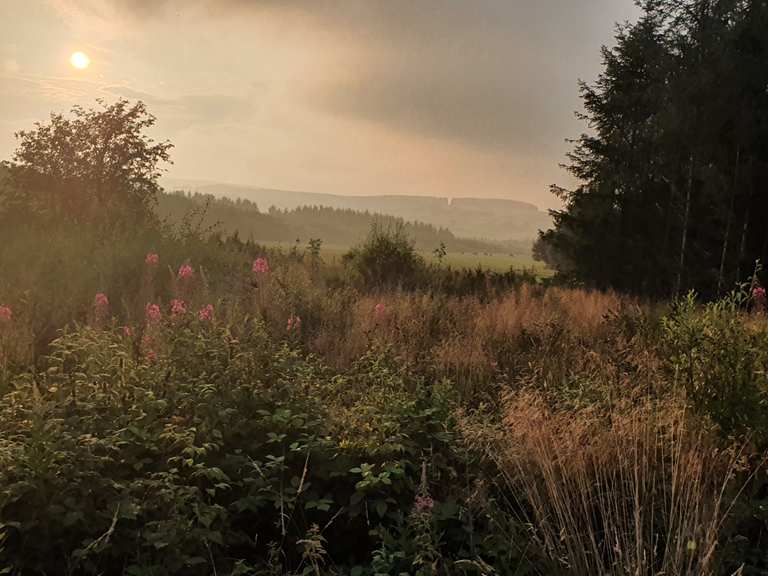 Nipstone Rock Nature Reserve & The Bog loop — Shropshire Hills | hike ...