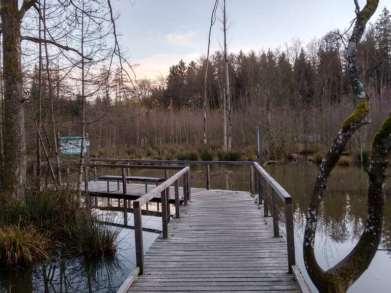 Kleiner See mit Ausblick: Wanderungen und Rundwege | komoot