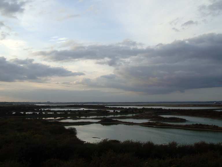 RSPB Cliffe Pools Nature Reserve Routes for Walking and Hiking | Komoot