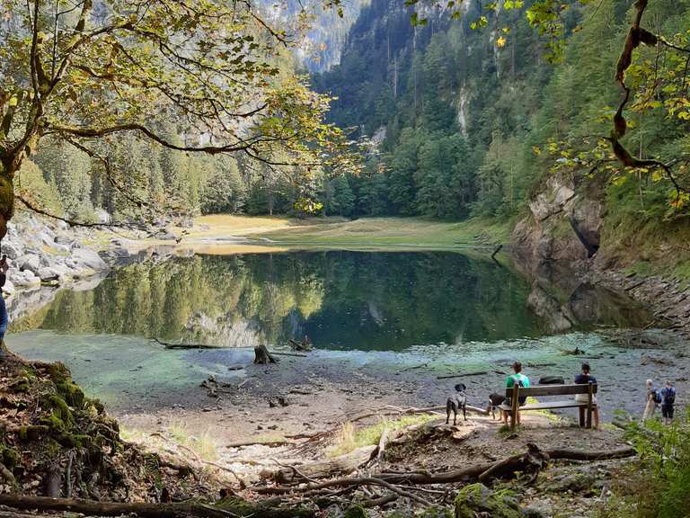 Kammersee und Traunursprung: Wanderungen und Rundwege | komoot