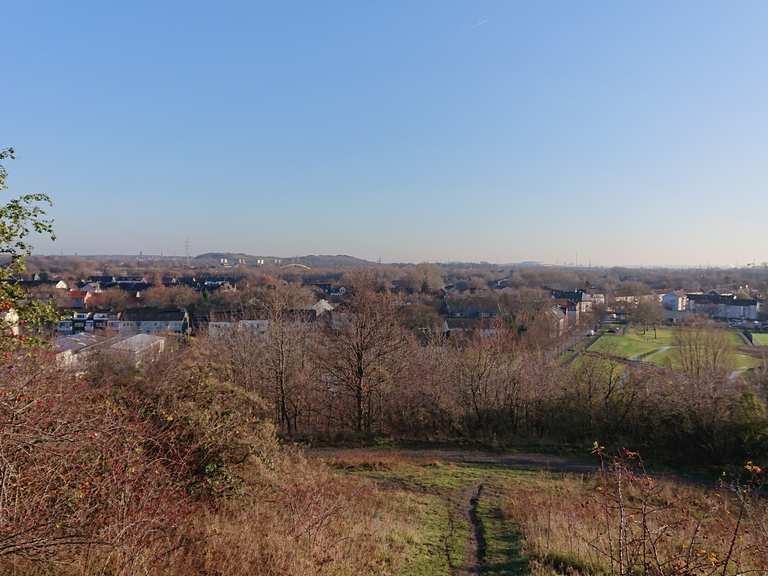 Halde im Brauck (Gipfel): Wanderungen und Rundwege | komoot