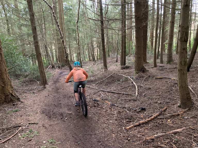 Shearwater Mountain Bike Trails - Mountain Bike Trails & Tracks | Komoot