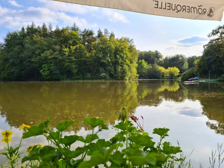 Thalersee - Cycle Routes and Map | Komoot