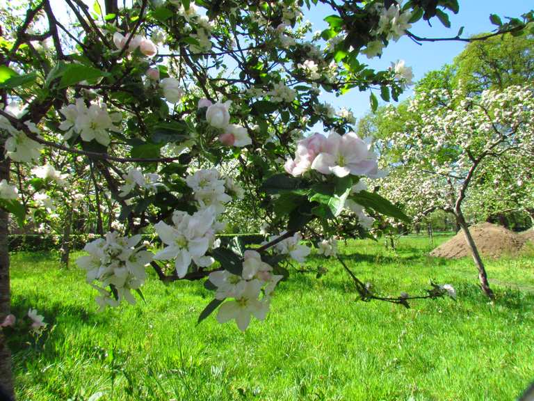 Marskramerpad (LAW 3) | wandeling | Komoot