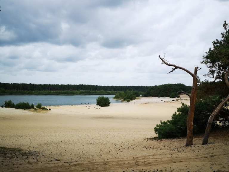 Lommelse Sahara wandelroutes en hikes | Komoot