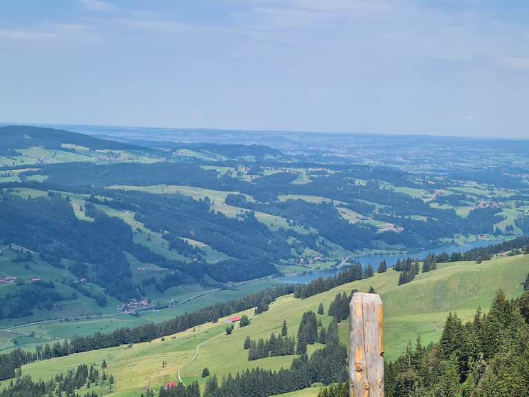 Spitzkehre an Spitzkehre.... gespickt mit Wurzeln: Mountainbike-Touren ...