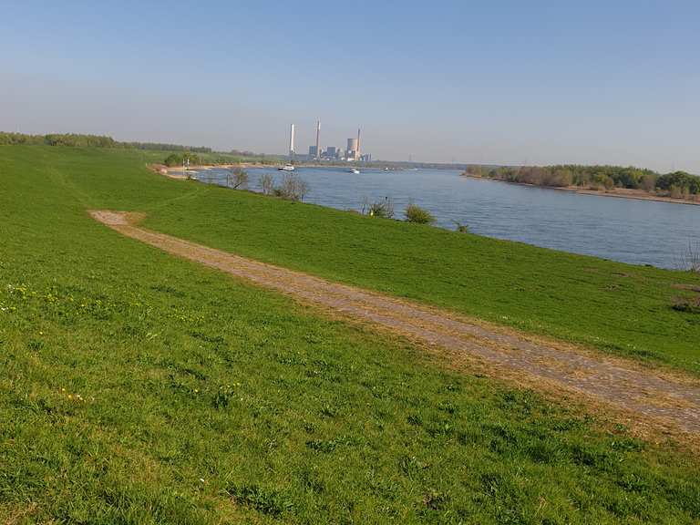 Rheindamm : Radtouren und Radwege | komoot