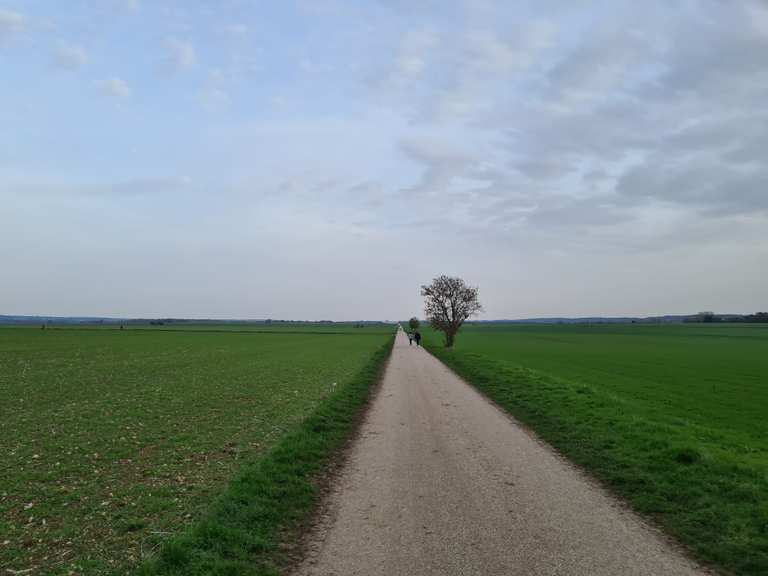 Allée royale de Villepreux - Itinéraires vélo et carte | Komoot