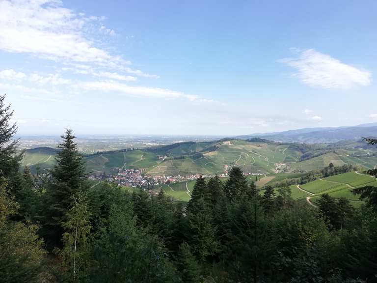 Durbacher Weitblick: Wanderungen und Rundwege | komoot