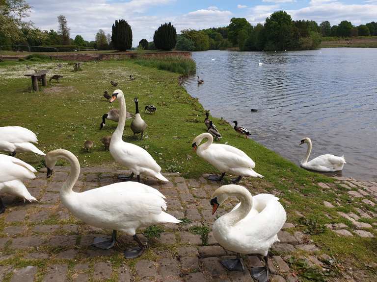 Clumber Park - Cycle Routes and Map | Komoot