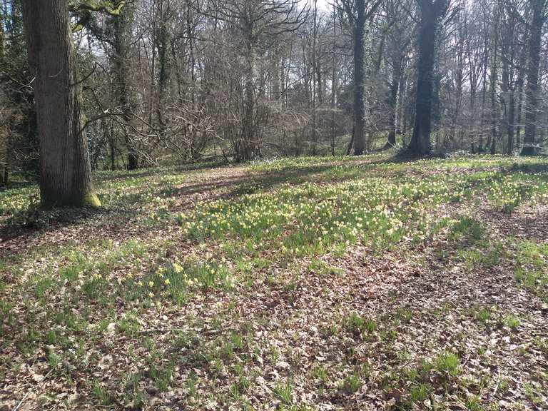 Newent & Hartpury loop from Gloucester | bike Tour | Komoot