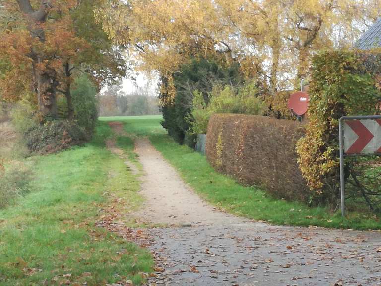 Gut Oppendorf: Wanderungen und Rundwege | komoot
