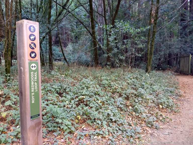 Roy's Redwoods Open Space Preserve & French Ranch OSP Road Cycle Routes ...