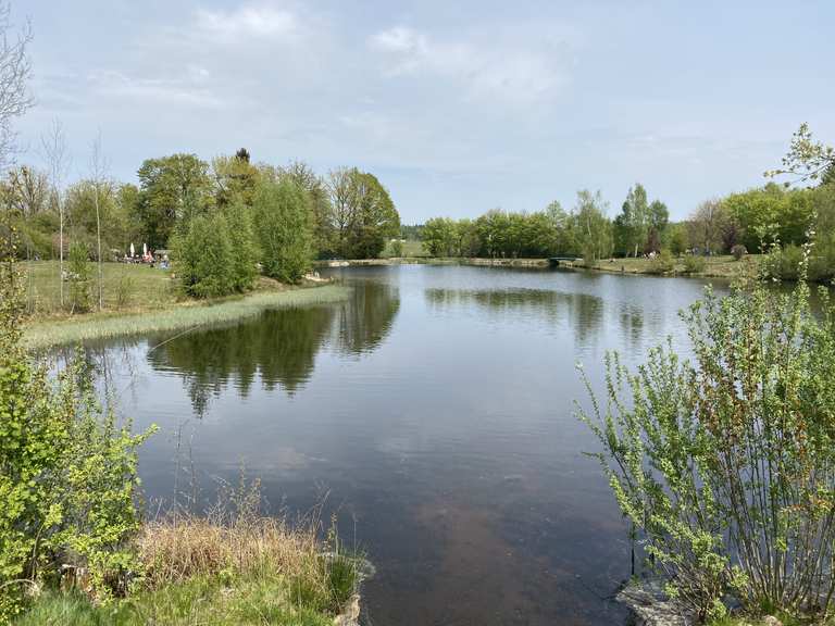 Teiche bei Grillenburg - Mountain Bike Trails & Tracks | Komoot