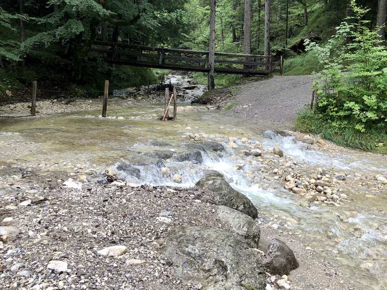 Grüne Gumpe: Wanderungen und Rundwege | komoot