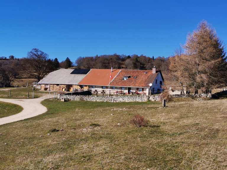 Bergerie du Bas - Mountain Bike Trails & Tracks | Komoot