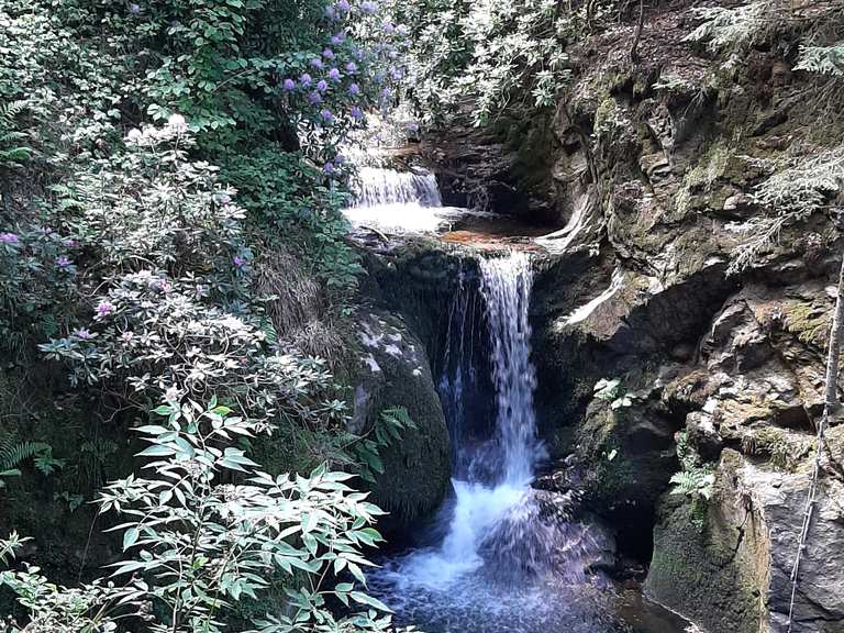 Geroldsauer Wasserfall Routes for Walking and Hiking | Komoot